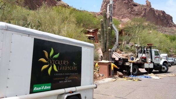 VICKERS LANDSCAPE - Updated December 2025 - 33 Photos - 7904 E ...