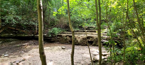 THREE FALLS WOODS - Updated December 2025 - 11 Photos - 4618 Sweet Rd ...