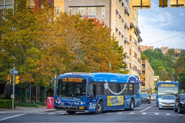 TCAT - Updated September 2025 - 25 Photos & 18 Reviews - 737 Willow Ave ...