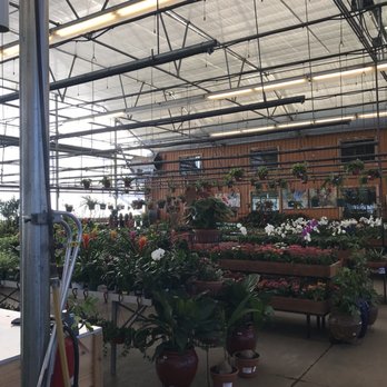 RUIBAL’S PLANTS OF TEXAS - Updated April 2026 - 133 Photos & 109 ...