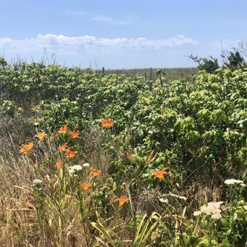 STRATHMERE BEACH - Updated December 2025 - 62 Photos & 19 Reviews ...