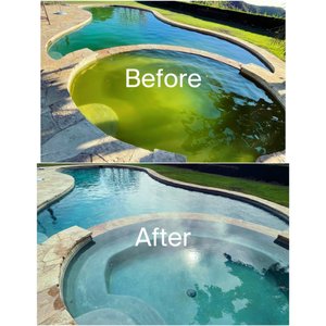 AVANTI POOLS - Updated May 2024 - 102 Photos & 40 Reviews - 8138 Orion ...