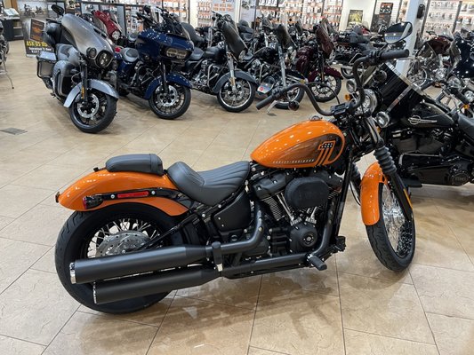 ALLIGATOR ALLEY HARLEY DAVIDSON - Updated August 2025 - 113 Photos ...