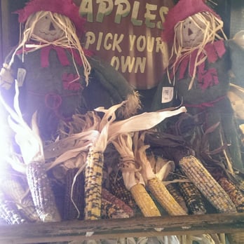 BOLTON SPRING FARM - Updated November 2025 - 68 Photos & 62 Reviews ...