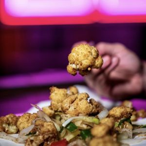 CHEF HUNAN BO - Updated May 2024 - 65 Photos & 95 Reviews - 3237 ...