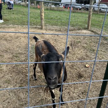 APPLE RIDGE ORCHARDS - Updated May 2025 - 228 Photos & 100 Reviews ...