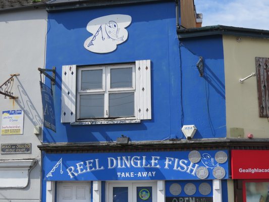 REEL DINGLE FISH - Updated December 2024 - 19 Photos & 20 Reviews ...