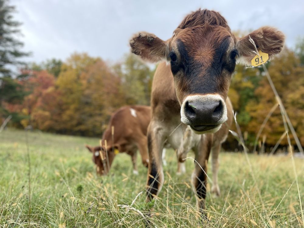 GOULD FARM - Updated December 2025 - 100 Gould Rd, Monterey ...