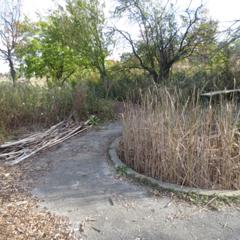 DUNNING READ CONSERVATION AREA - Updated December 2025 - 4200 N Oak Park, Chicago, Illinois ...