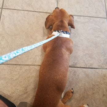 GREATER BIRMINGHAM HUMANE SOCIETY - Updated October 2025 - 50 Photos ...