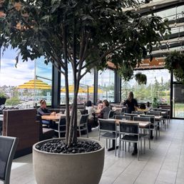 CACTUS CLUB CAFE - Updated December 2025 - 34 Photos & 11 Reviews - 112 ...