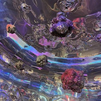 SLOOMOO INSTITUTE - LOS ANGELES - Updated December 2025 - 371 Photos ...