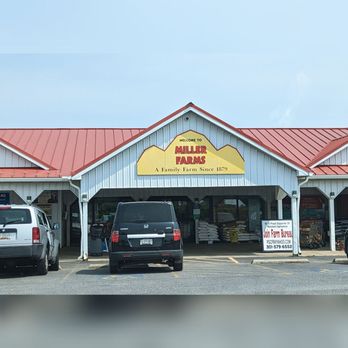 MILLER FARMS - Updated July 2024 - 260 Photos & 207 Reviews - 10140 ...