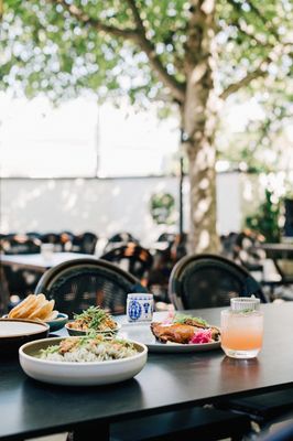 KIN & FOLK - Updated December 2025 - 58 Photos & 19 Reviews - 557 Main ...