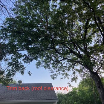 SALGADO MENDOZA TREE SERVICE - Updated December 2025 - 10 Photos ...