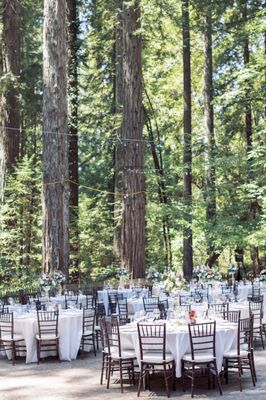 GRIFFITH WOODS - Updated September 2024 - 91 Photos & 26 Reviews - 1881 ...