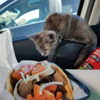 BEST GYROS - Updated October 2025 - 58 Photos & 71 Reviews - 6629 ...