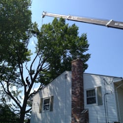 NORTH EASTERN TREE SERVICE - 25 Photos & 95 Reviews - 1000 Pontiac Ave ...