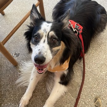 BLUE MIND COFFEE ROASTING - Updated September 2025 - 159 Photos & 65 ...