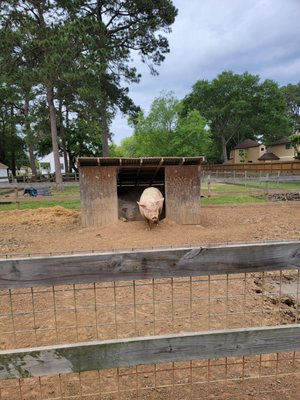 WUNDERLICH FARM AND HISTORIC KLEIN - Updated January 2026 - 30 Photos ...