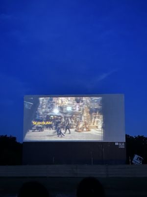GALAXY DRIVE IN THEATRE - Updated May 2026 - 106 Photos & 224 Reviews ...