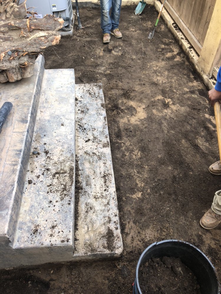 DM LANDSCAPE & MAINTENANCE - Updated December 2024 - 26 Photos - 625 N ...