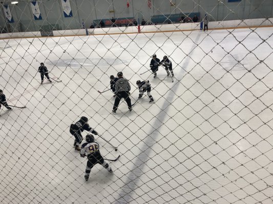 Skatetown Ice Arena - 82 Photos & 135 Reviews - Skating Rinks - 1009 ...