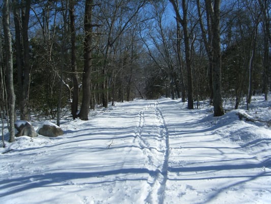 GREAT SWAMP MANAGEMENT AREA - Updated January 2026 - 31 Photos ...