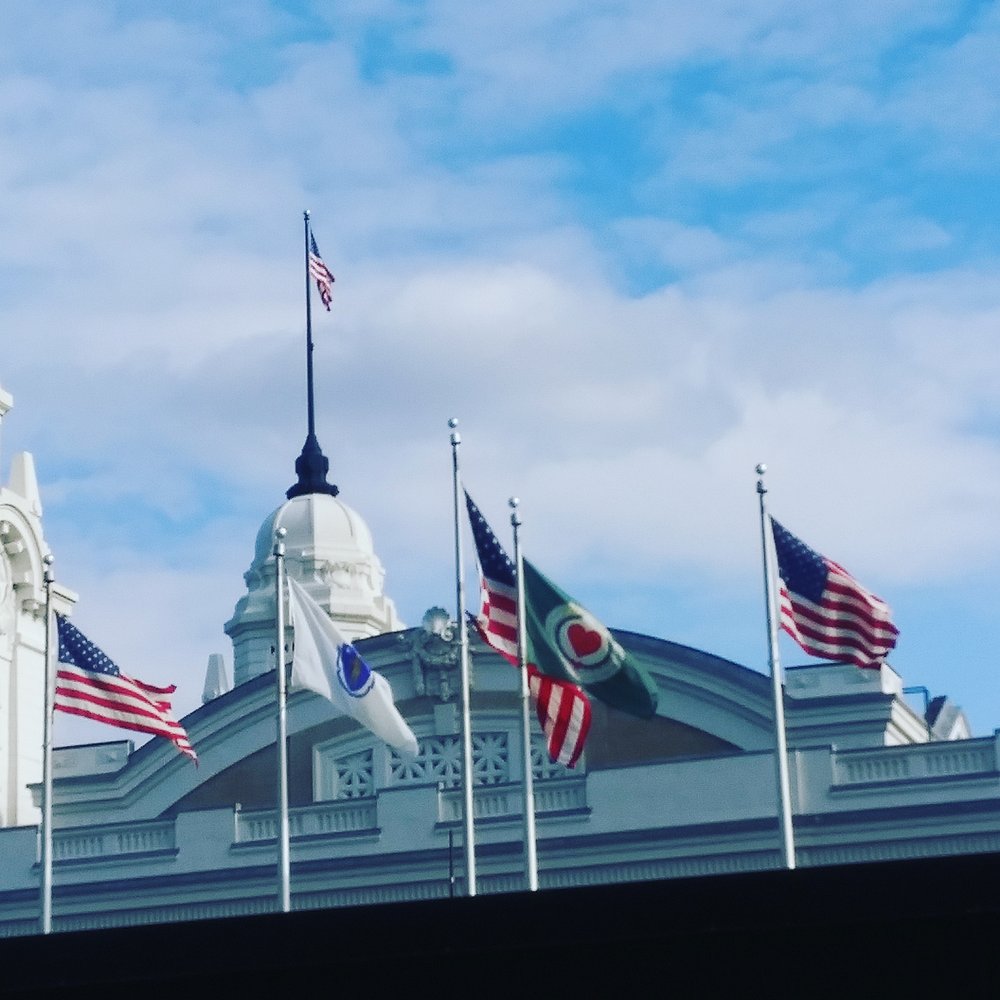 TRANSCAPE YOUR LANDSCAPE - Updated February 2025 - 17 Photos ...