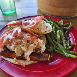 PARADISE KEY DOCKSIDE BAR & GRILL - Updated June 2026 - 779 Photos ...