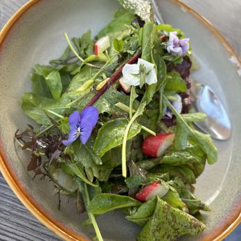 NOBLE ROT - Updated August 2024 - 748 Photos & 727 Reviews - 1111 E ...