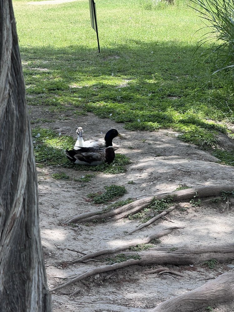 BANDERA CITY PARK - Updated August 2025 - 51 Photos & 11 Reviews - 173 ...