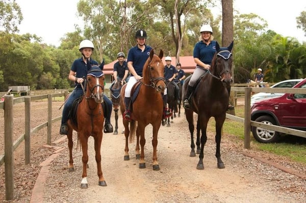 FOREST LAKE RIDING SCHOOL - Updated August 2025 - 19 Greentree Cres ...