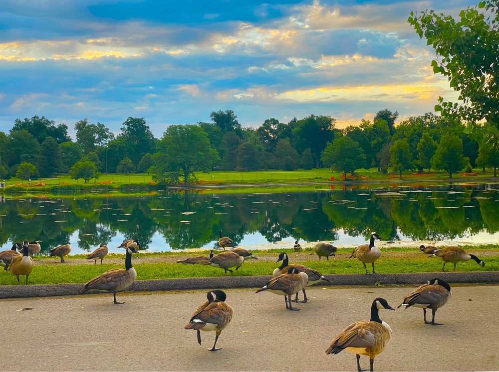 WASHINGTON PARK - Updated July 2025 - 550 Photos & 251 Reviews - S ...