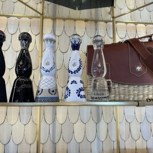 TRANSCABO TRANSPORTATION - Updated January 2026 - 15 Photos & 29 ...