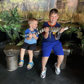 GATOR BEACH - Updated January 2025 - 117 Photos & 58 Reviews - 20001 ...