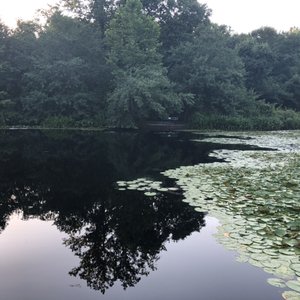 ELLANOR C LAWRENCE PARK - WALNEY VISITORS CENTER - 187 Photos & 39 ...