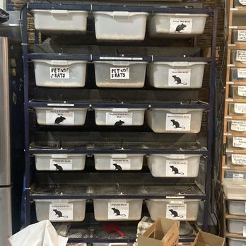 EAST BAY VIVARIUM - Updated January 2026 - 726 Photos & 619 Real ...