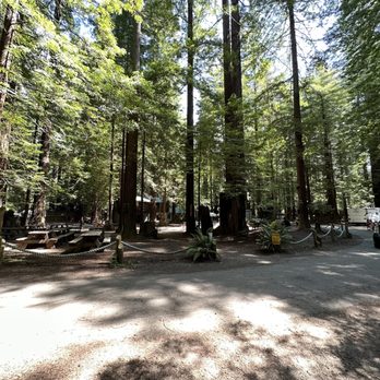 GUALALA RIVER REDWOOD PARK - Updated March 2025 - 171 Photos & 134 ...