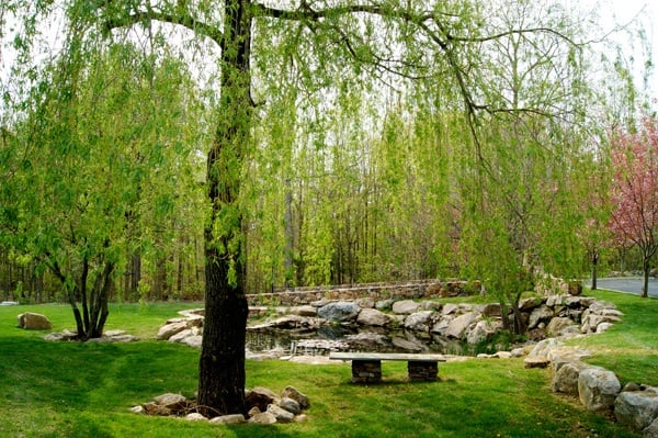 BETH COLLINS, M.D - Updated January 2026 - 27 Photos & 23 Reviews ...