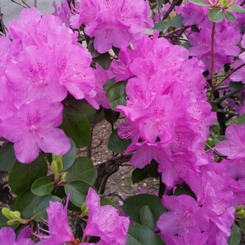 CANTIAGUE PARK - Updated July 2025 - 51 Photos & 30 Reviews - 480 W ...