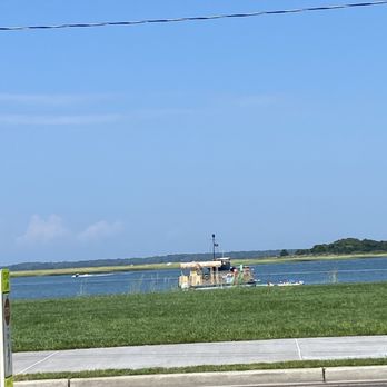 TURTLE GUT - Updated June 2024 - 41 Photos & 21 Reviews - 7609 New ...