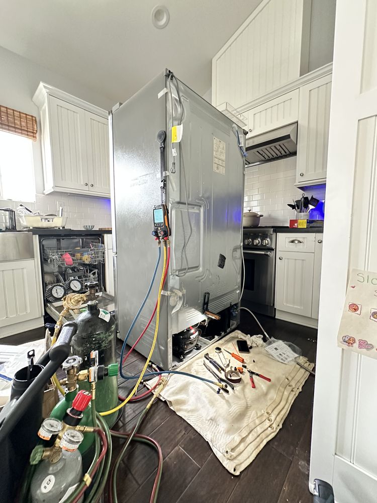 ALPHA & OMEGA - Updated January 2026 - 276 Photos & 56 Reviews ...