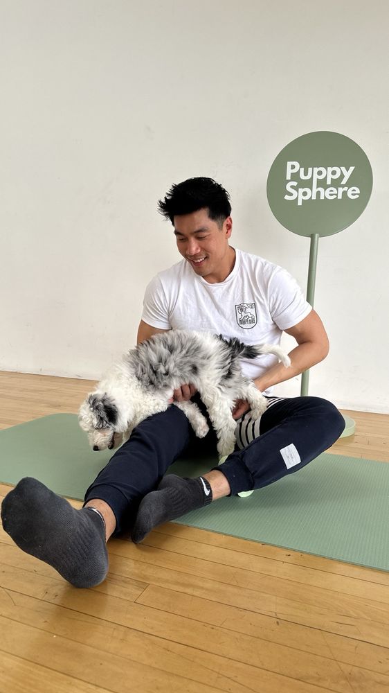 PUPPY SPHERE - Updated December 2025 - 27 Photos & 13 Reviews - 1051 ...