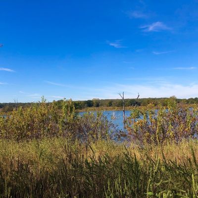 RAY ROBERTS LAKE STATE PARK - Updated September 2024 - 136 Photos & 55 ...