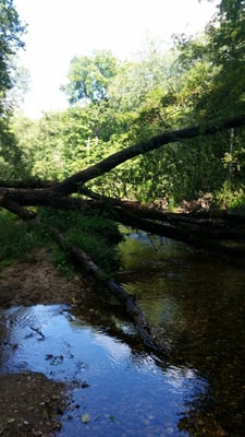 BACKBONE STATE PARK - Updated July 2025 - 25 Photos - Dundee, Iowa ...