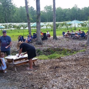 SPRING RUN VINEYARDS - TEMP. CLOSED - Updated December 2025 - 11 Photos ...