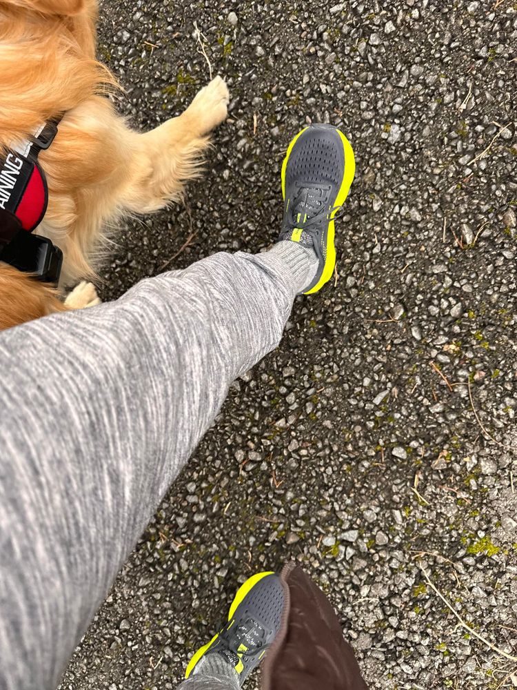 PRO BIKE+RUN - ROBINSON - Updated November 2025 - 17 Photos & 28 ...