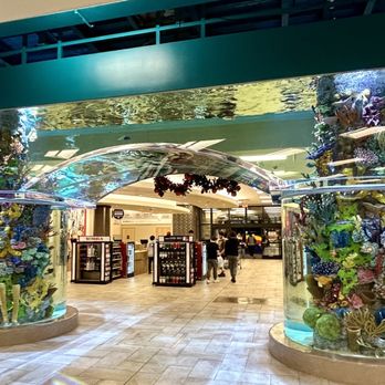 SCHEELS - Updated June 2025 - 813 Photos & 139 Reviews - 3199 W ...