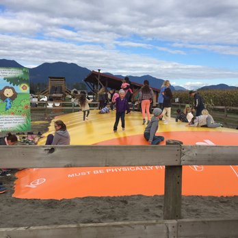 CHILLIWACK CORN MAZE - Updated December 2025 - 27 Photos & 11 Reviews ...